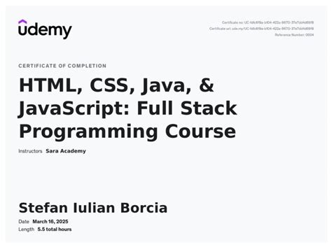 Html Css Java Api Javascript Oop Stefan Borcia