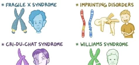 Mendelian And Non Mendelian Inheritance Single Gene Disorders And Sex Linked Inheritance