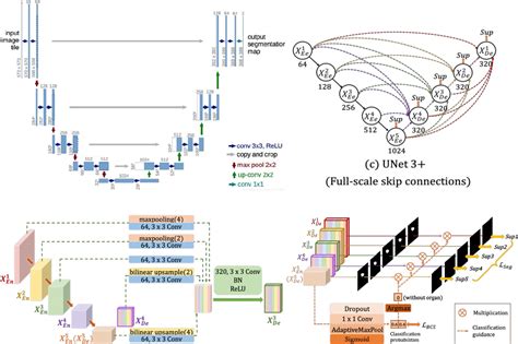 基于unet 网络进行细胞图像识别与分割 Unet模型图像识别 Csdn博客