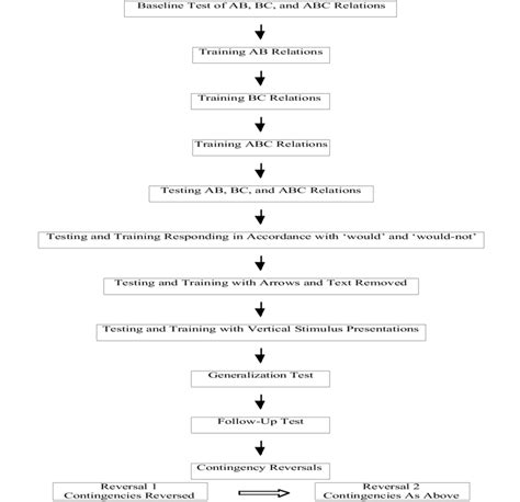 A Schematic Representation Of The Experimental Sequence Download Scientific Diagram