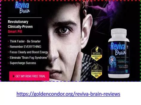 Ppt Reviva Brain Reviews Powerpoint