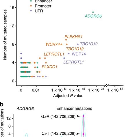 Characterization Of Recurrent Noncoding Regulatory Mutations And Their