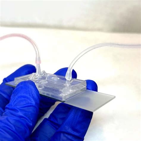 Straight Connector Darwin Microfluidics