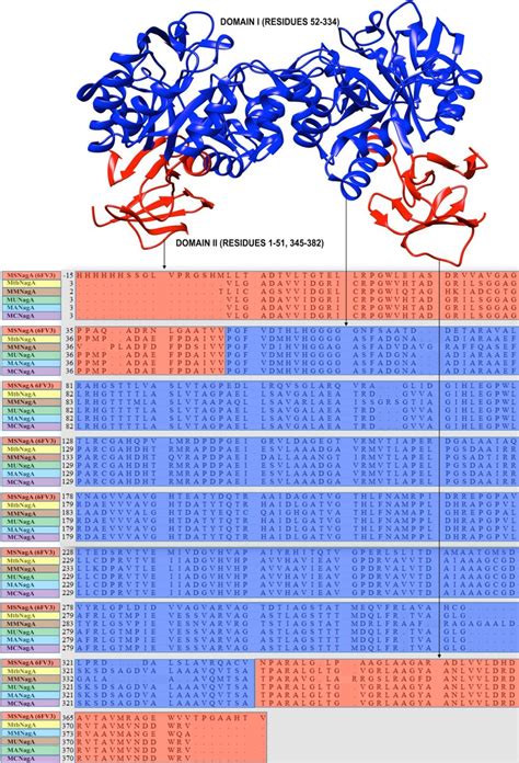 Overall Structure And Sequence Analysis Of The 6 Mycobacteria Of Download Scientific Diagram