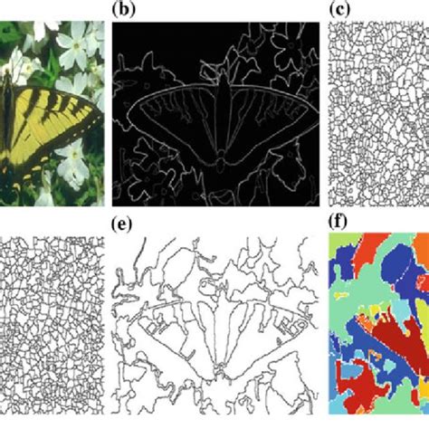 A Input Image B Ground Truth Image C Morphological Watershed