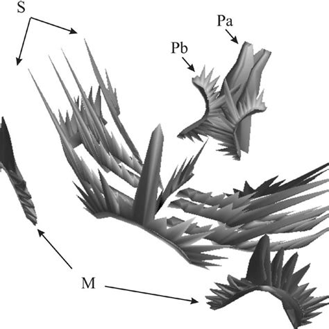 Conodont Element Histology As A Key To Verification Of The Conodont