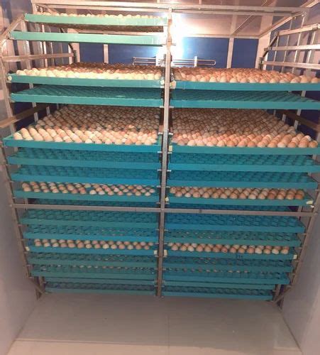 Chicken Egg Incubator Hatching Machine At Rs 350000 Incubator Machine