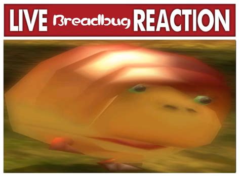 Live Breadbug Reaction R Tomorrow