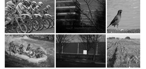 Natural Images Used To Demonstrate Non Gaussianity Of Wavelet Download Scientific Diagram