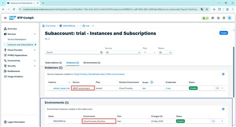 Sap学习笔记 开发11 Rap（restful Application Programming）简介sap Rap Csdn博客
