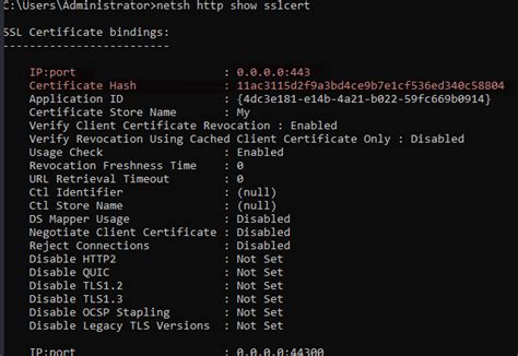 Understanding Server Name Indication SNI