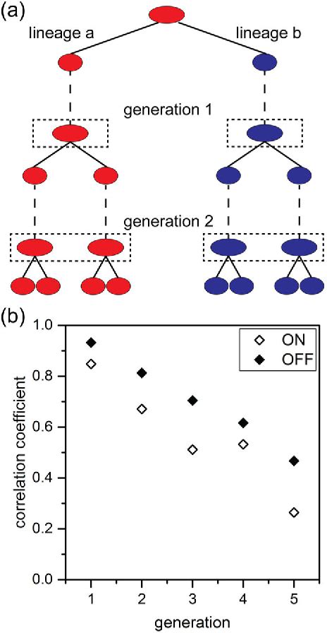 Figure 1 From Programmable Pneumatically Actuated Microfluidic Device