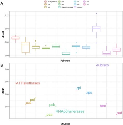Distribution Of Dnds Values For Functional Groups Across All Diatoms