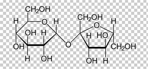 Fructose Lewis Structure