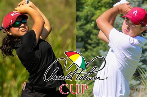 Instructional Delineation Of Davis Love Iiis Golfing Technique An Academic Analysis Golf