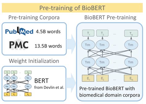 Biobert A Pre Trained Biomedical Language Representation Model For