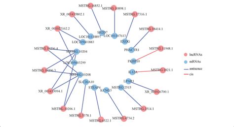 Co Expression Network Of Differentially Expressed Lncrnas And