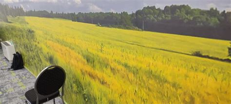 Borko Kikic On Linkedin Milos Mirosavljevic Evo Trave Jel Dosta Zelenila