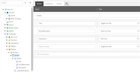 Create A Asp Net Simple Rendering Using Data Source In Helix Examples