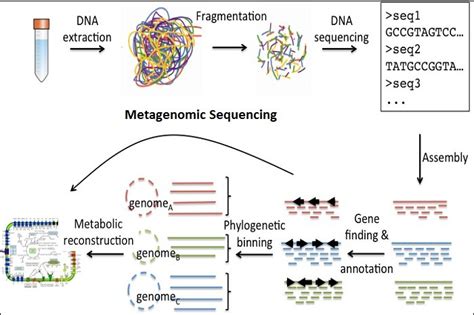 Metagenomic Next Generation Sequencing In Clinical Microbiology — Teletype