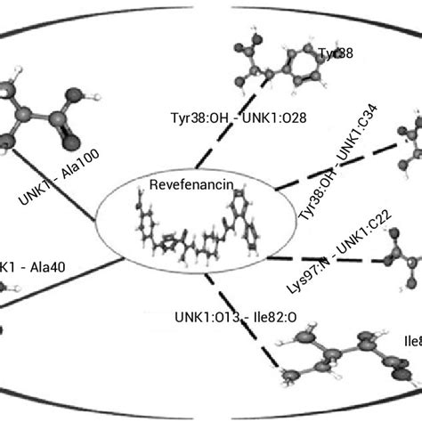 Interaction Amino Acid Residues Of Mstn With Revefenacin Through H Bond