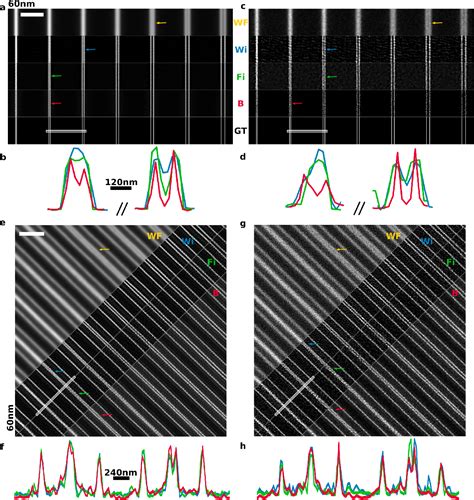 Figure 2 From A Structured Illumination Microscopy Framework With Spatial Domain Noise