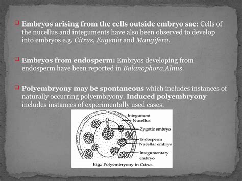 Polyembryony Its Types And Practical Importance Pptx