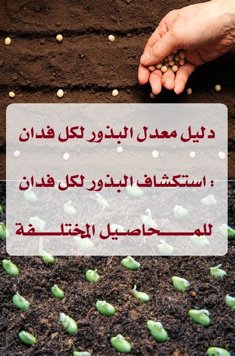 دليل معدل البذور لكل فدان استكشاف البذور لكل فدان للمحاصيل المختلفة