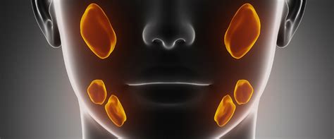 Salivary Gland Stones Causes Symptoms And Treatments
