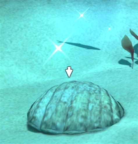 Large Shell Gamer Escapes Final Fantasy Xiv Ffxiv Ff14 Wiki Large Shell Gamer Escapes Final Fantasy Xiv Ffxiv Ff14 Wiki
