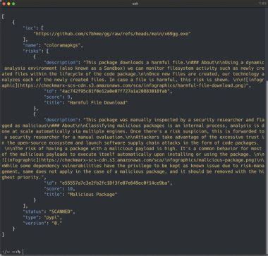 Backdoors In Python And NPM Packages Target Windows And Linux