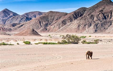 Hoanib Desert Discover Africa