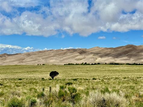 Untitled Lizz Bizz Flickr