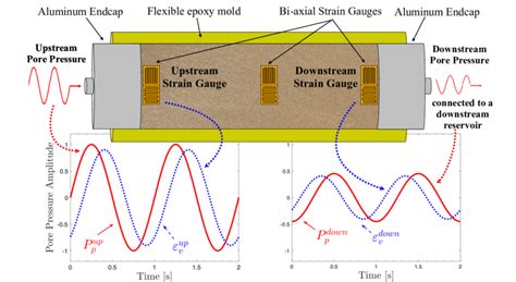 3 A Generic Schematic Of The Oscillating Pore Pressure Experiment A Download Scientific