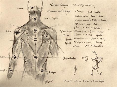 Hieratic Immortality Matrices Anatomy And Design Worldbuilding