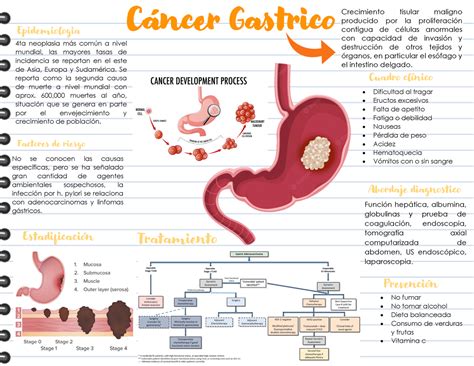 Ca Gastrico Cáncer Gastrico Epidemiologia Factores De Riesgo