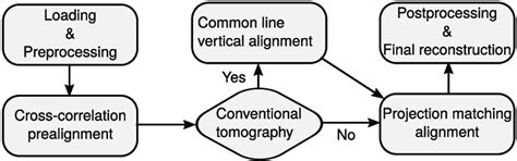 Flow Diagram Describing Our Alignment Strategy Download Scientific Diagram