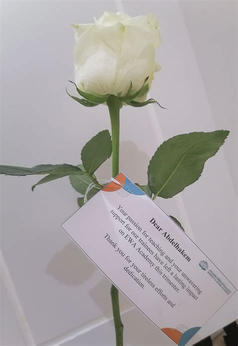 Abdelhakam Mohammed Abdelghafar On Linkedin Training Department 11 Comments