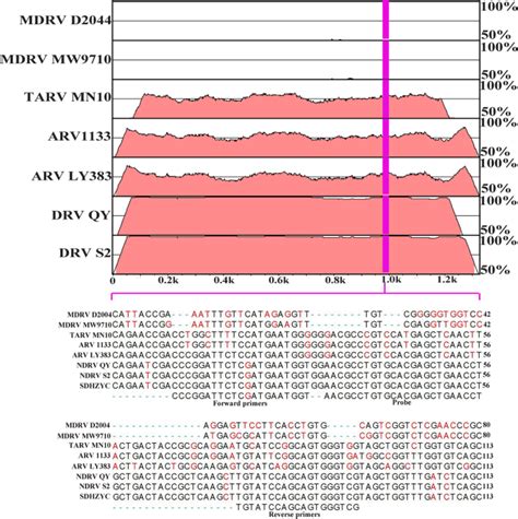A Taqman Based Real Time Pcr Assay For Specific Detection Of Novel Duck
