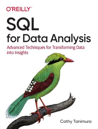 Sql For Data Analysis 搬书匠 电子书下载