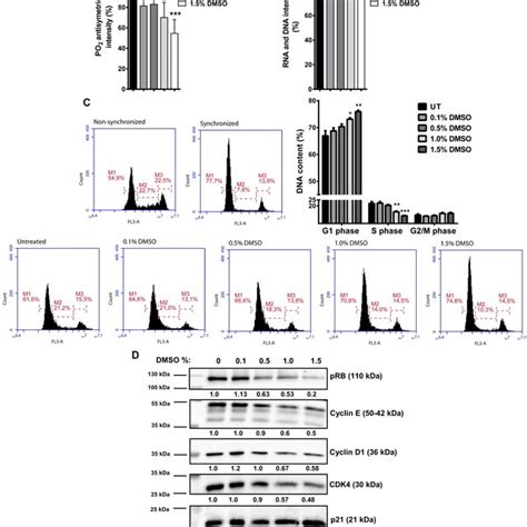 Dmso Binding To B Dna And Z Dna A Autodock Output Of Dmso Molecule