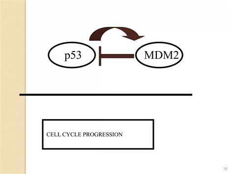 Regulation Of Cell Cycle By Chinmayi Upadhyaya Pptx