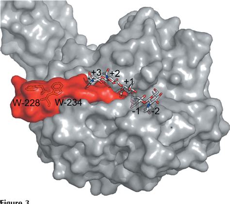 Figure 3 From Crystal Structures Of Substrate Bound Chitinase From The Psychrophilic Bacterium