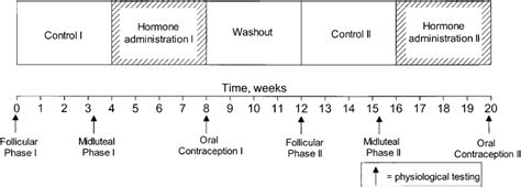 Time Line For Sex Hormone Administration Download Scientific Diagram