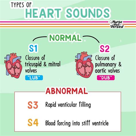 🫀 Types Of Heart Sounds 🔊 S1 Lub Start Of Systole Mitral And Tricuspid Valves… In 2024