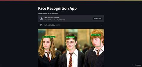 Building A Real Time Face Recognition App With Streamlit By Codeaigo