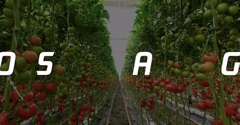 Tencent On Linkedin Horticulture Hackathon Techforgood