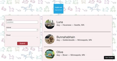 React App Pet 09 Class Component Codesandbox