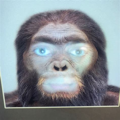 Abdulkareem Mohammad Youtube