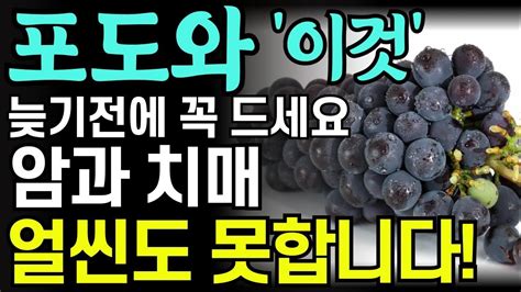 항암 포도 만드는 방법 포도와 함께 먹으면 보약보다 좋은 음식3가지와 특급 레시피포도‘이것과 먹으면 비싼 영양제 필요 없습니다 치매 음식 항암 음식 Youtube